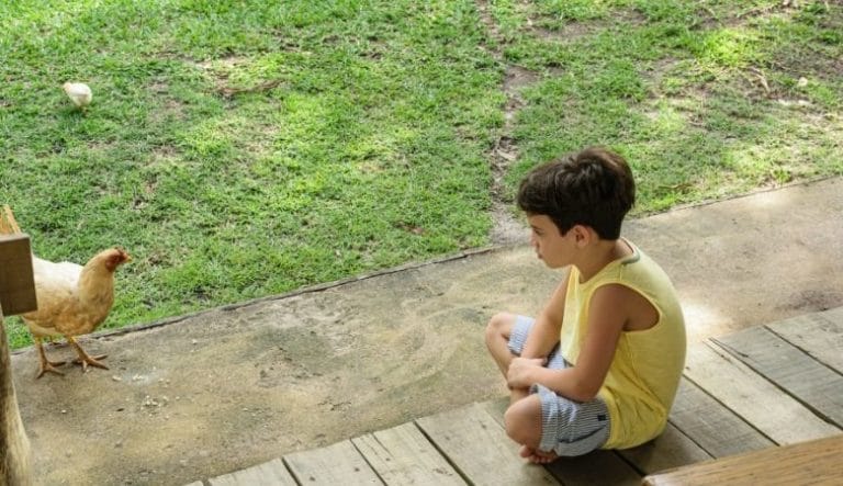 18 Things That Are About 4 Feet (ft) Long/Tall