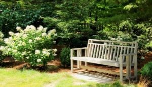 13 Things That Are About 50 Feet (ft) Long – www.dimensionofstuff.com