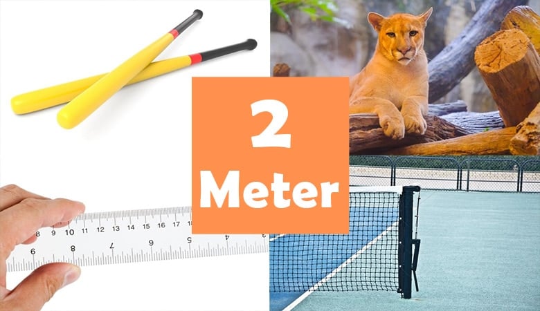 9 Things That Are About 2 Meters (m) Long – dimensionofstuff.com