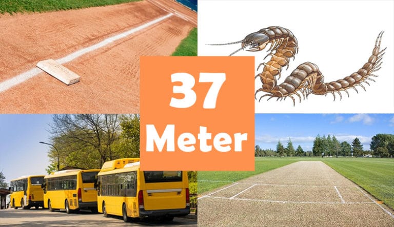 6 Things that Are About 37 Meters (m) Long – dimensionofstuff.com