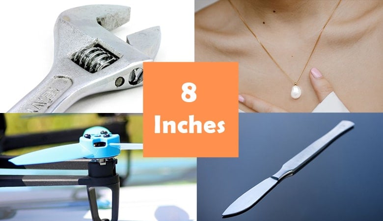 13 Things That Are 8 Inches (in) Long – dimensionofstuff.com