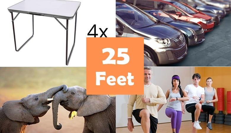 12 Things That Are About 25 Feet (ft) Long – dimensionofstuff.com