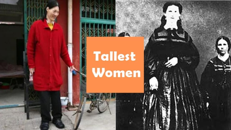 List of The 15 Tallest Women Who Ever Lived – dimensionofstuff.com
